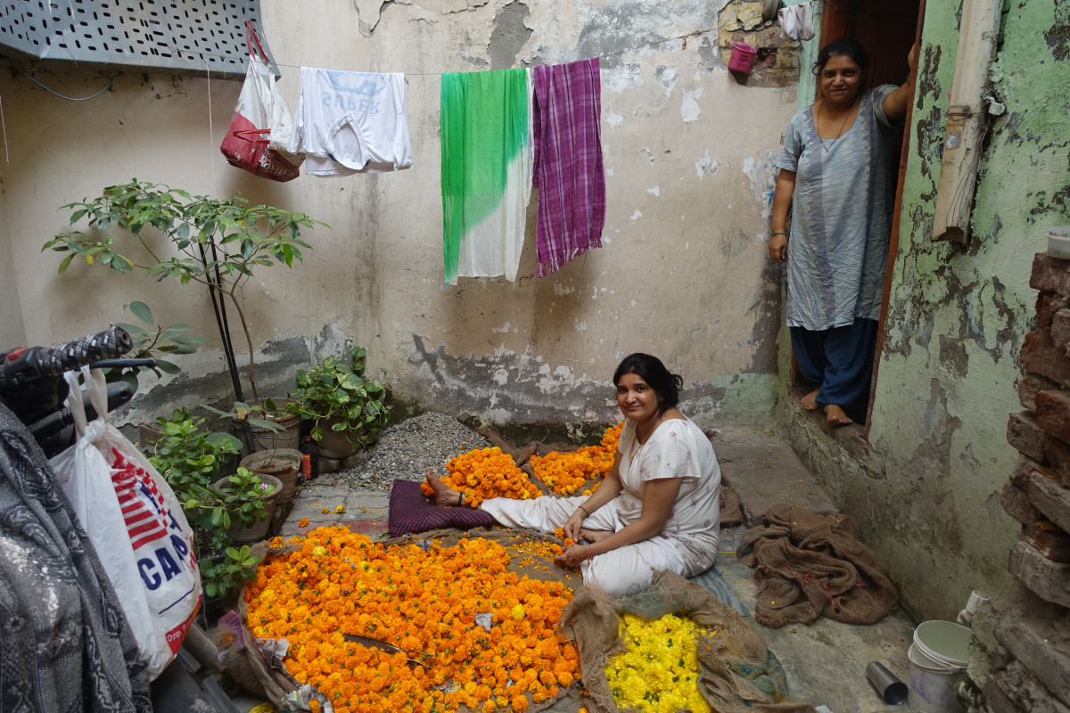 Marigold: "Herb of the Sun" Symbolizes Auspiciousness | Adventure.Travel